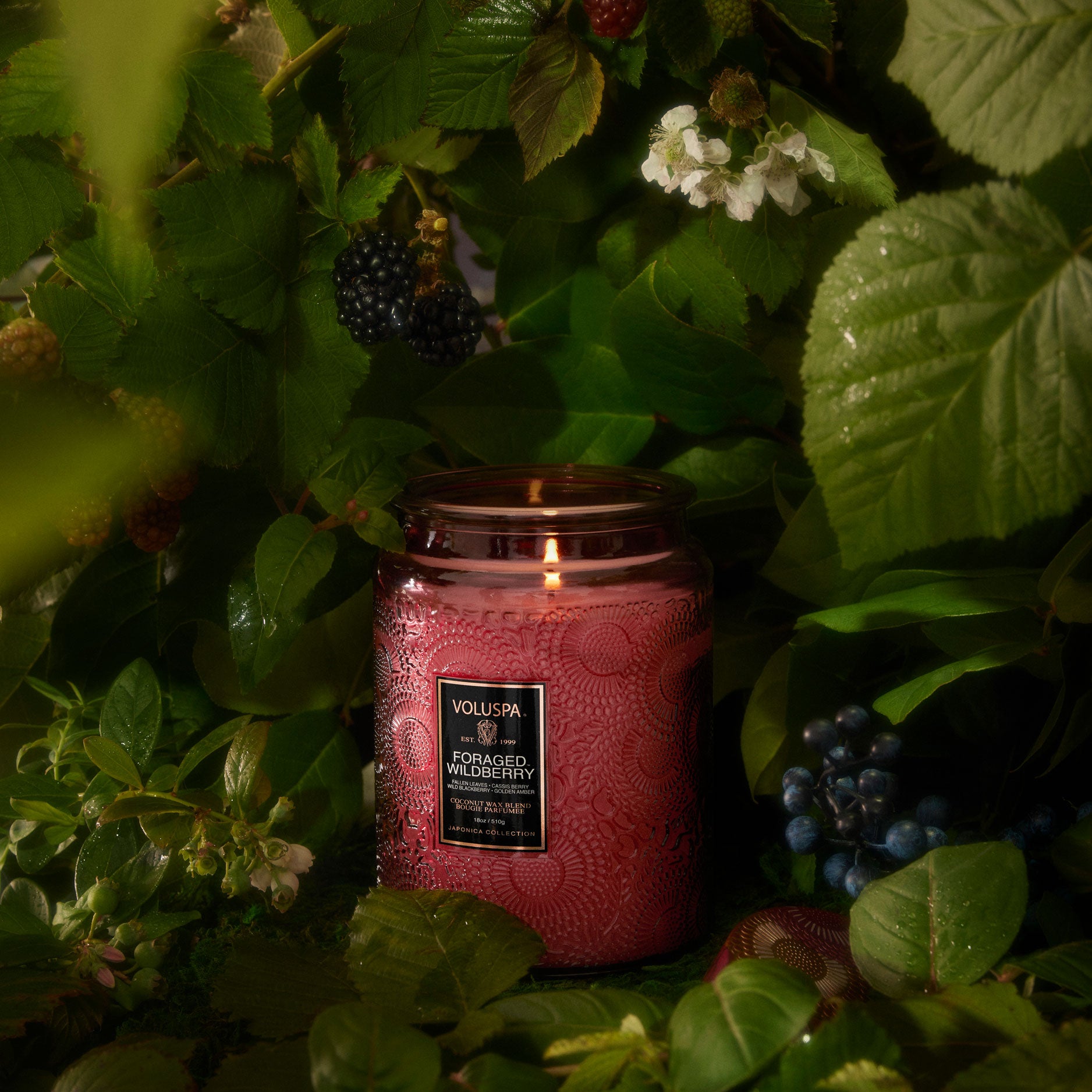 Foraged Wildberry | Large Jar Candle | VOLUSPA