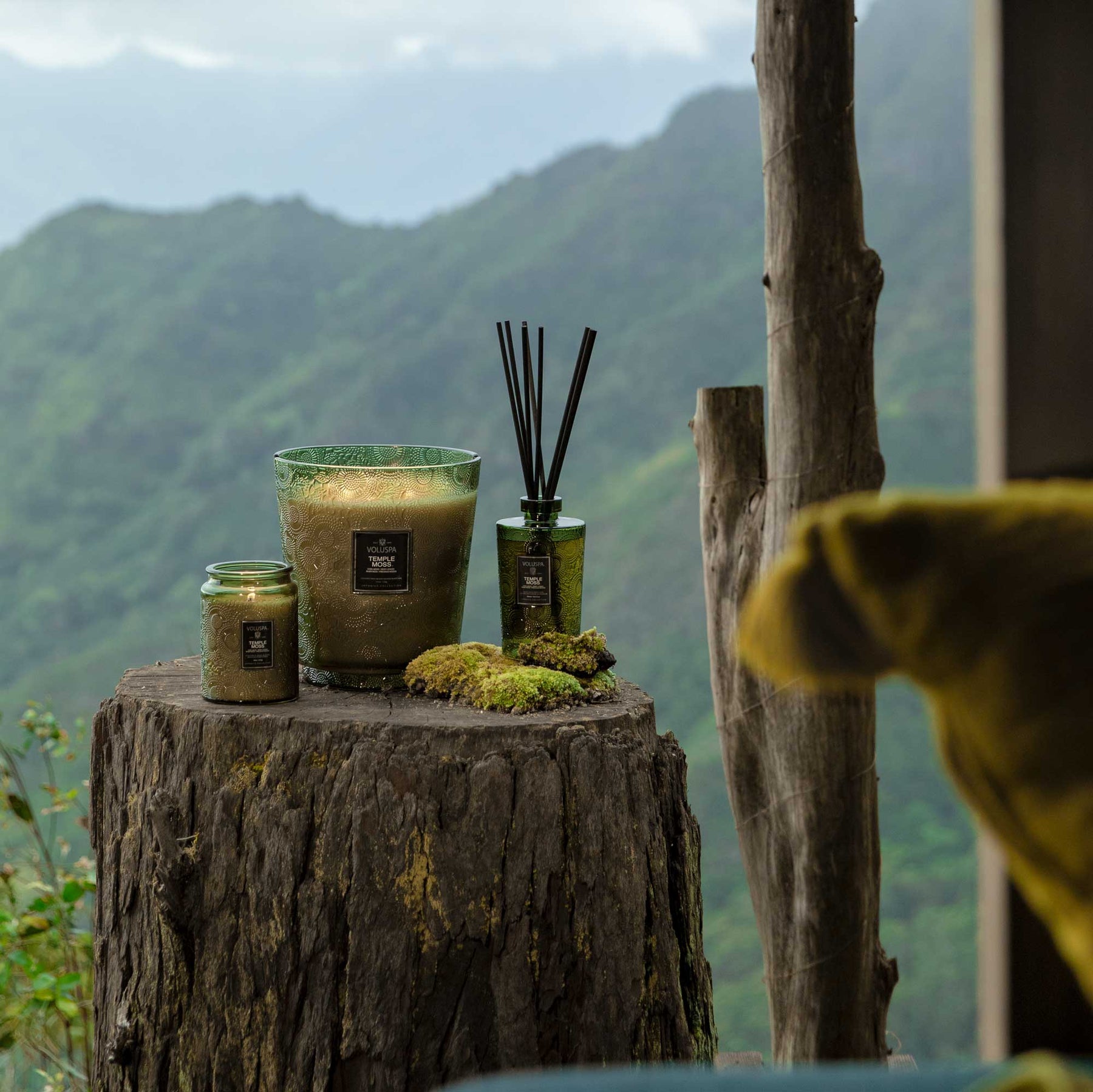 Temple Moss | Luxe Reed Diffuser | VOLUSPA