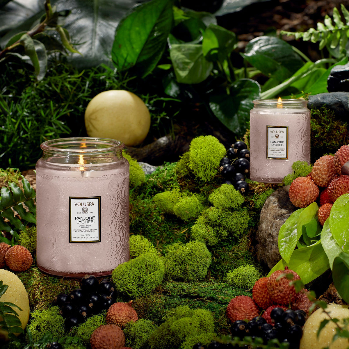 Panjore Lychee | Large Jar Candle | VOLUSPA